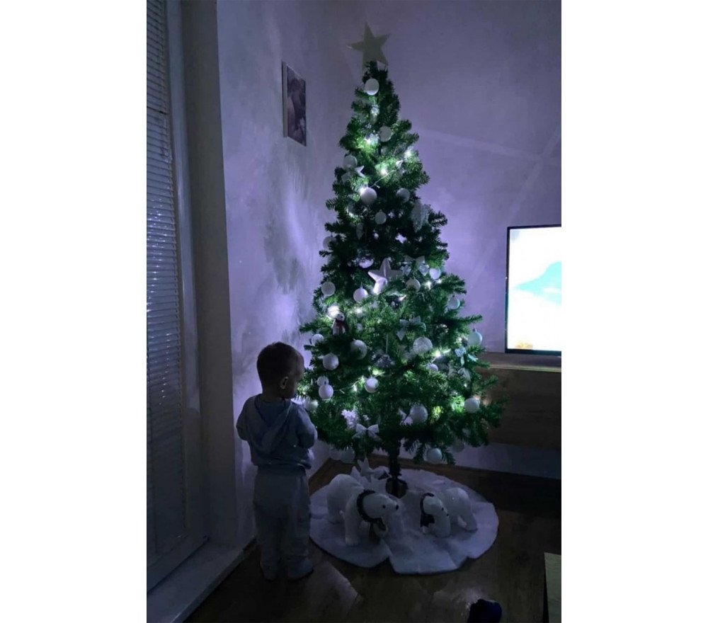 Novogodišnja jelka 210cm